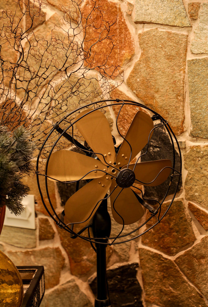 Barm Fan – Paradiso Home